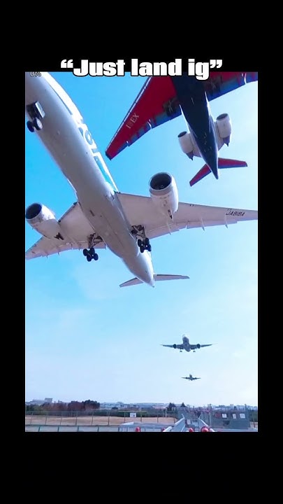 Last one there is a rotten egg - YouTube