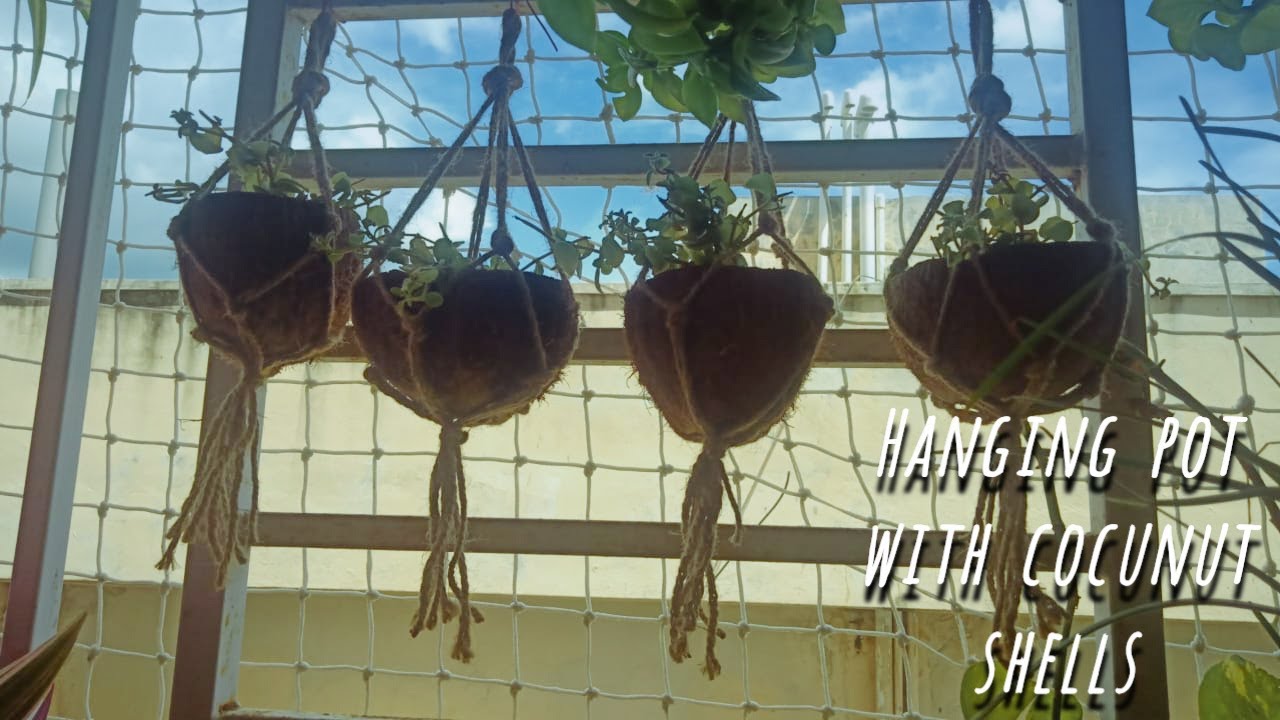 How to make hanging pot with coconut shell. - YouTube