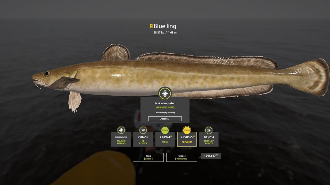 Trophy Blue Ling 28.37kg - RF4 Trophies - RF4 - YouTube