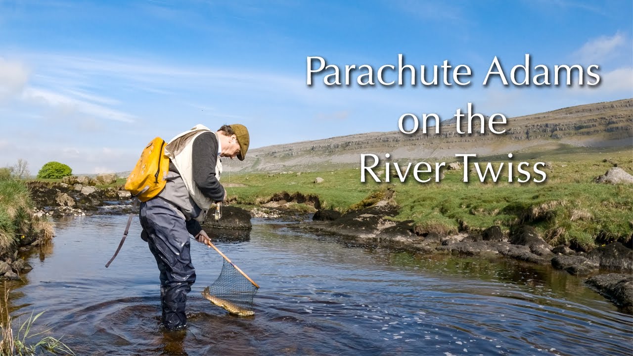 Dry Fly Fishing With A Parachute Adams - YouTube