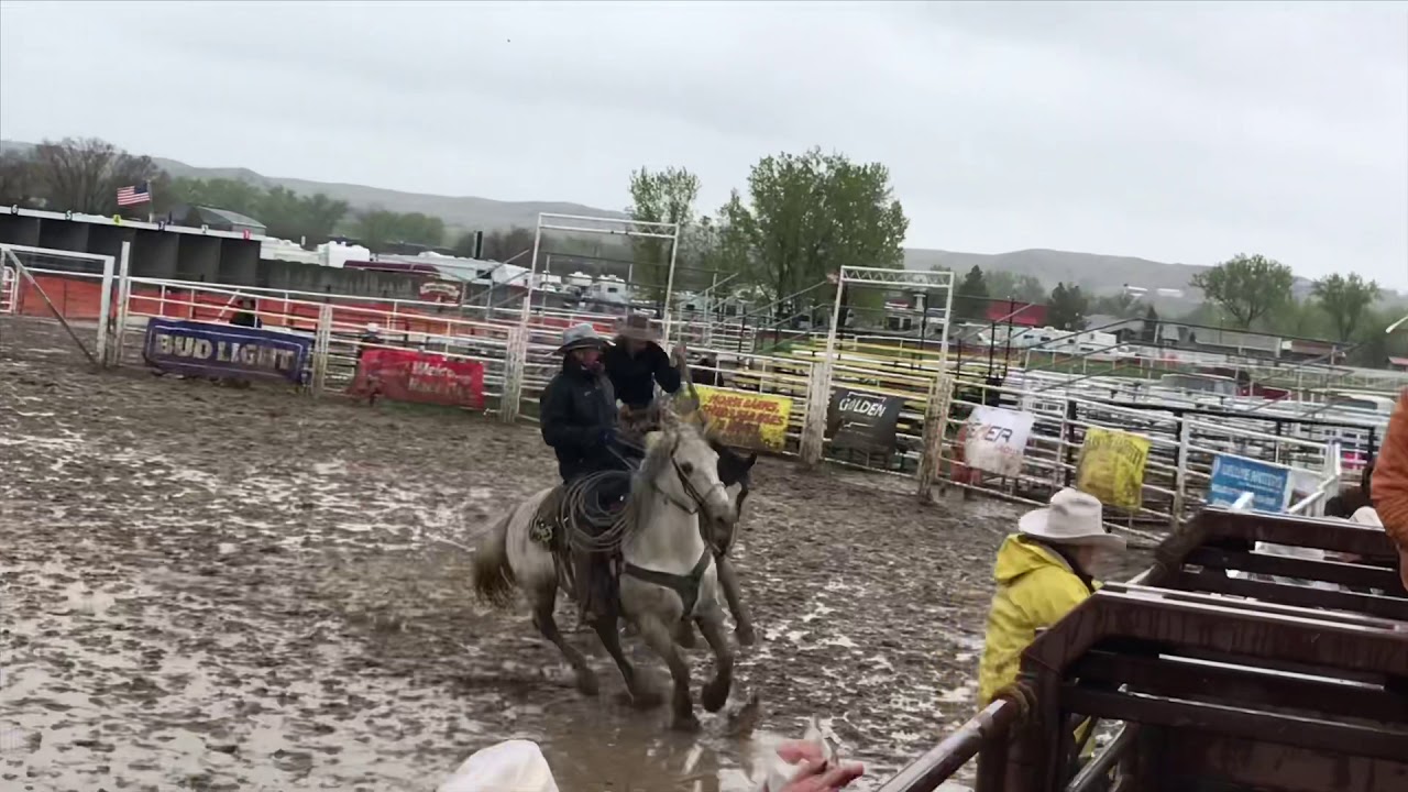 Women’s bronc riding - YouTube