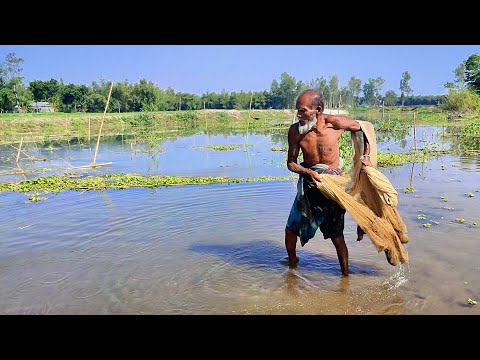 Traditional Cast Net Fishing Video - Amazing Village Net Fishing - 78 Old Fisherman Try Catch Fish