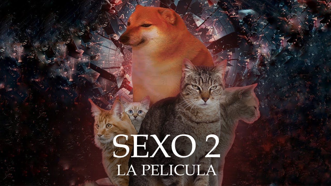 SEXO 2: LA PELICULA - Trailer oficial - YouTube
