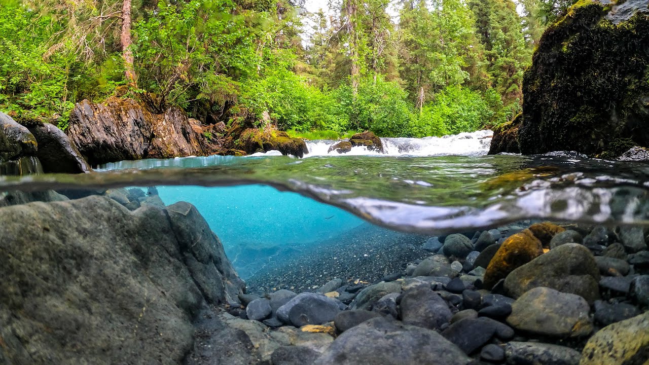 Calming Alaska River - YouTube