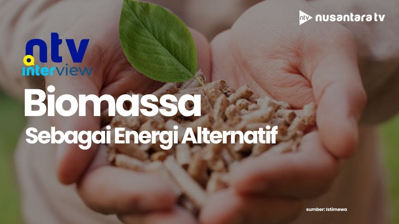 [FULL] Mengenal Biomassa, Energi Alternatif yang Ramah Lingkungan | NTV ...