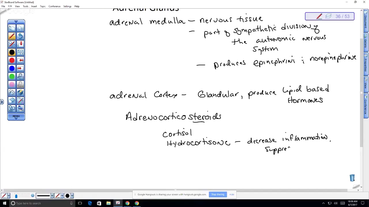 BI 232: Endocrine - YouTube