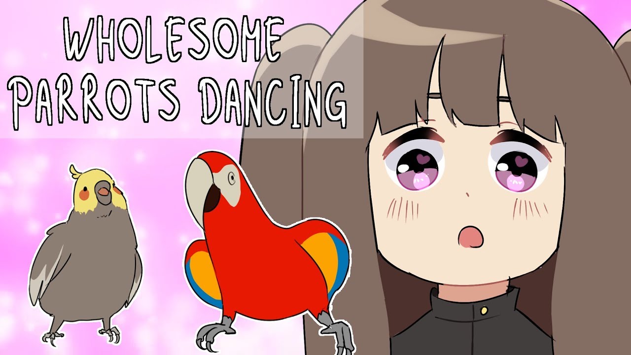 Wholesome parrots dancing | animation meme - YouTube