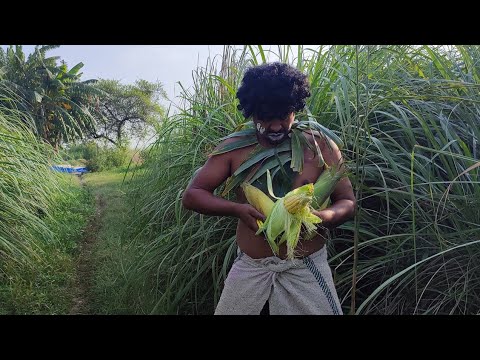 Thrilling Jungle Survival: Witness an Aboriginal Man's Epic Foraging ...