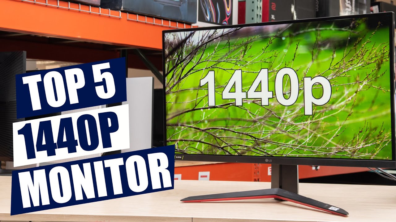 Ascend to Clarity: Top-Tier 1440p Monitors for Unrivaled Visual Bliss ...