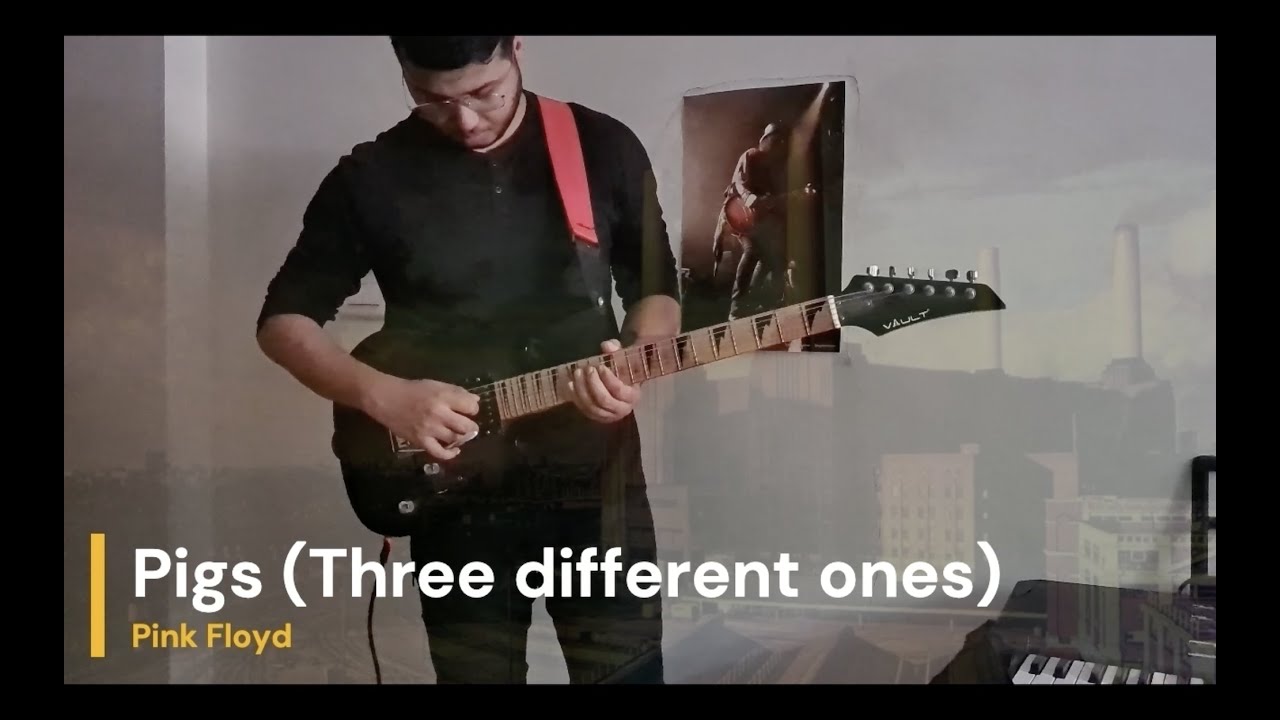 Pigs (three different ones) - Pink Floyd guitar solo - YouTube