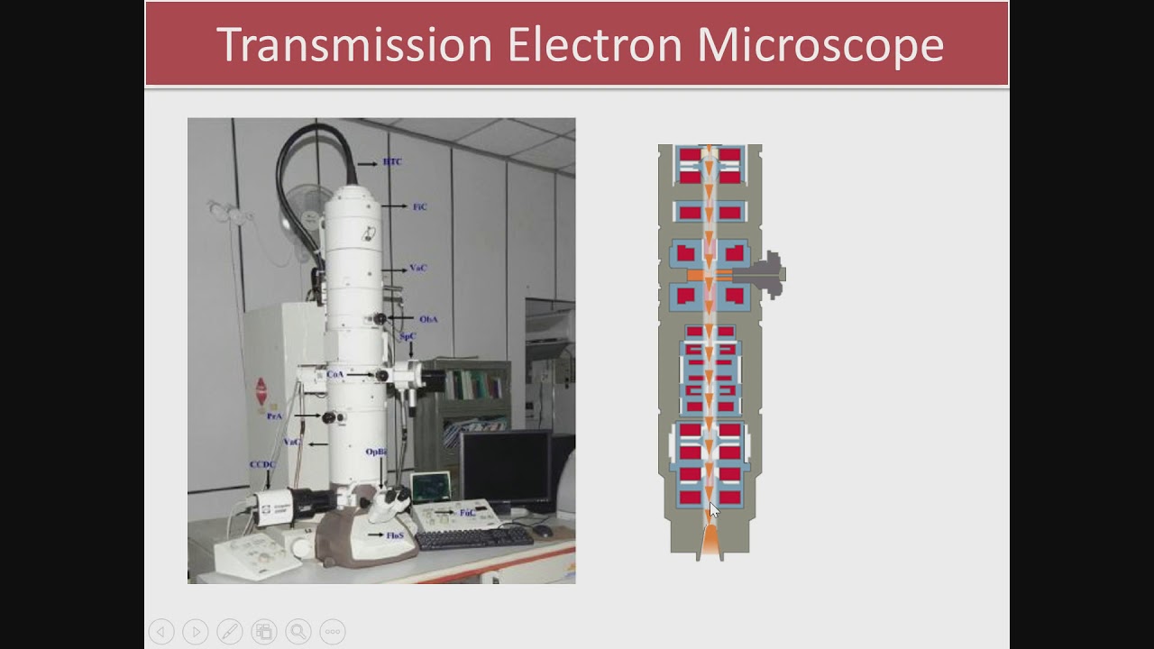 An Introduction to Electron Microscopy: Anatomy and Pathology - YouTube