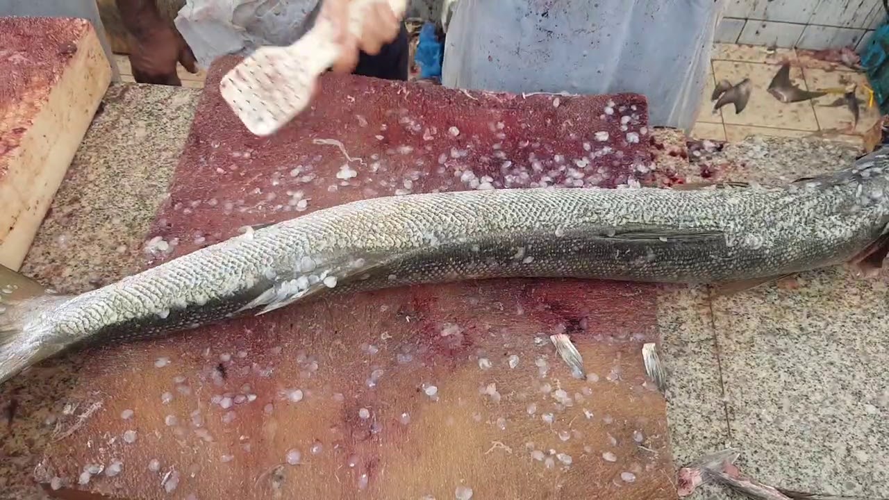 Barracuda Fish Cutting and Skinning at Fish Market। $200 Barracuda Fish ...