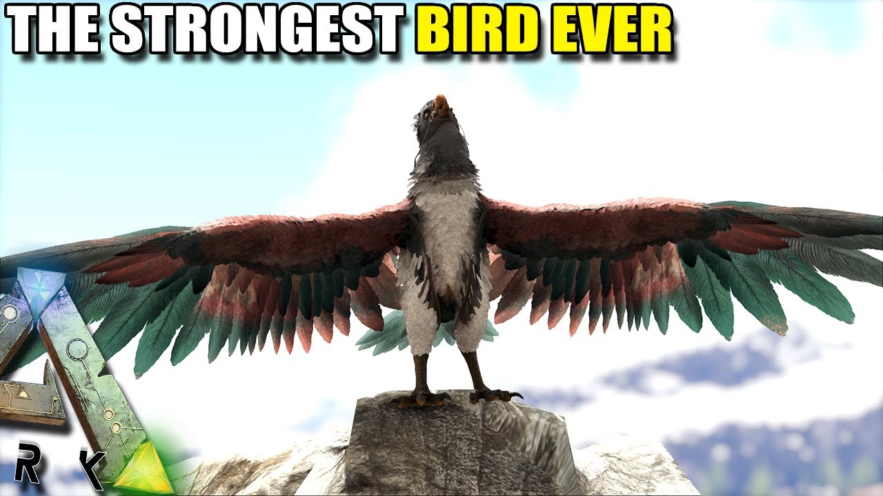 WE GOT THE STRONGEST BIRD EVER | STEAMPUNK | ARK SURVIVAL EVOLVED EP20 ...