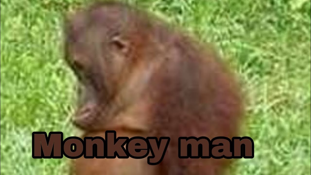 Franky Hernandez-Monkey man - YouTube