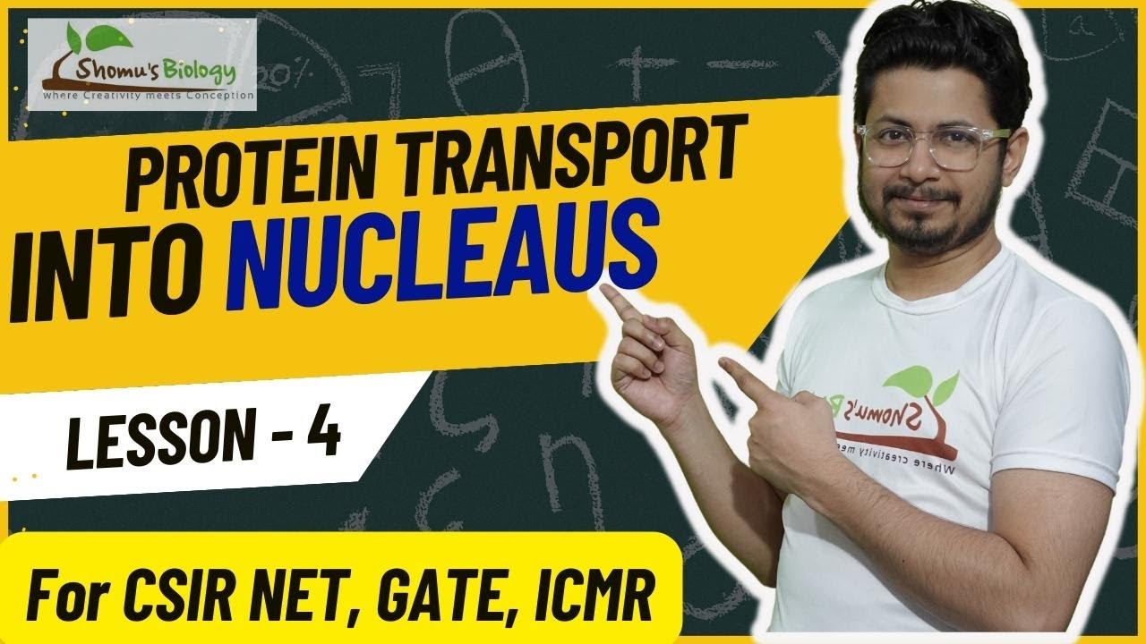 Nuclear transport of proteins | Ran gtpase cycle | Nuclear pore complex ...