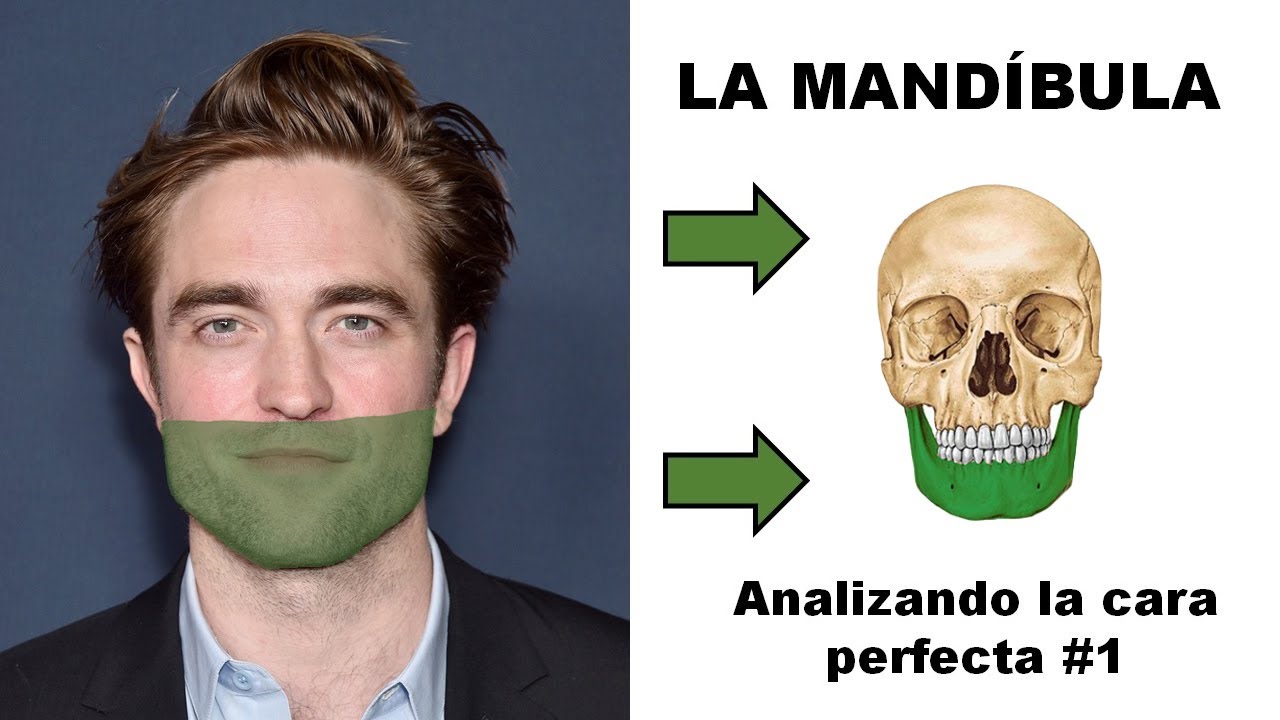 La importancia de la MANDIBULA - Analizando la cara perfecta #1 - YouTube