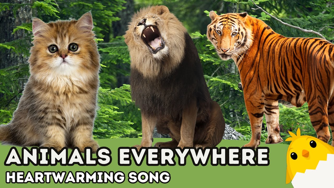 Animals Everywhere | Fun and Educational Song for Kids about Wildlife ...
