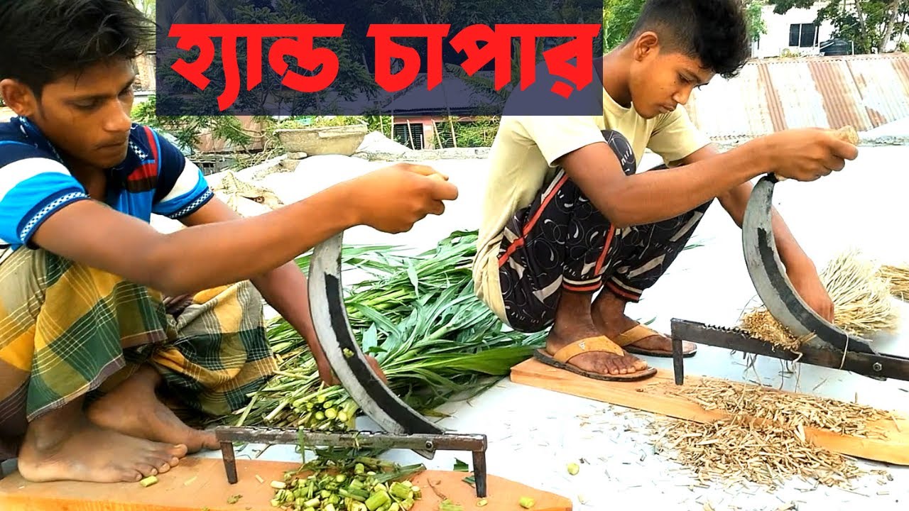 খড় কাটার হ্যান্ড চাপার-Hay cutting hand presser- jati - YouTube