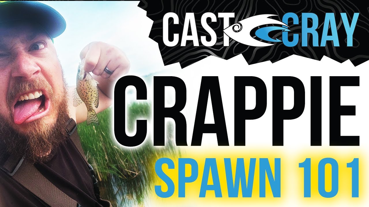 Easiest Way to Catch Crappie - Spawn 101 - YouTube