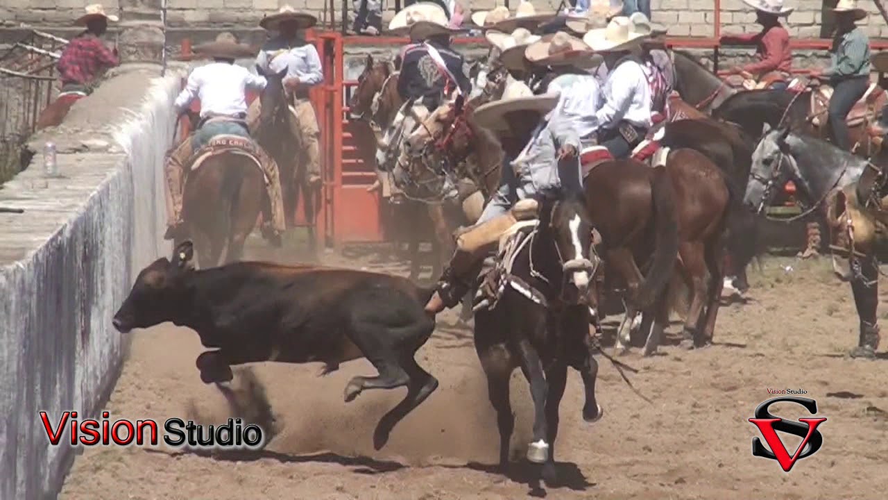 Buenas Coleadas Sánchez Silvestre Coleadero de Cierre de Feria Hejucar ...