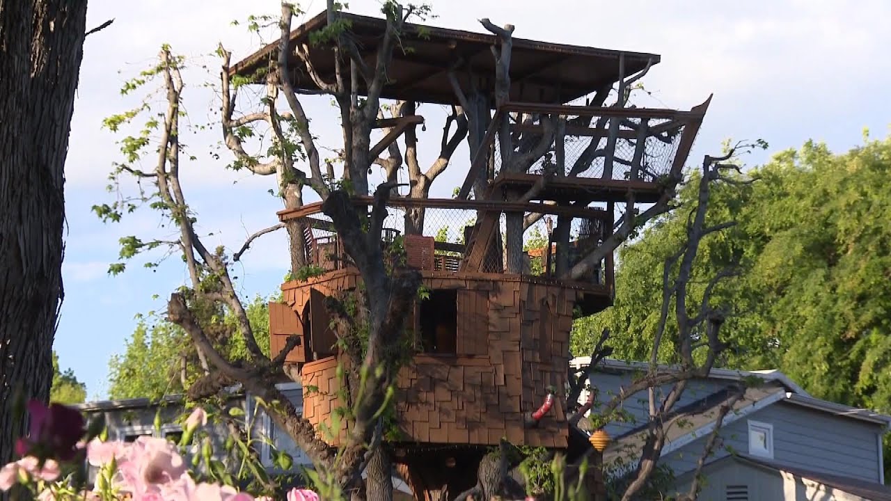24-Year-Old Tree House in Danger of Being Torn Down - YouTube
