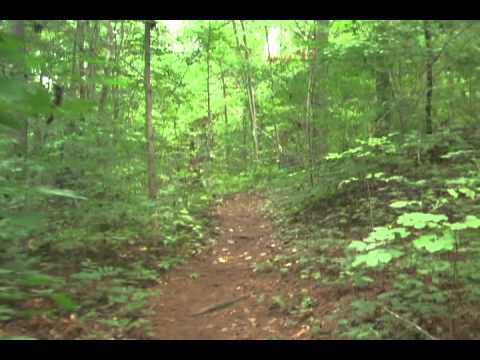 Yellow River Park, Gwinnett County GA - YouTube