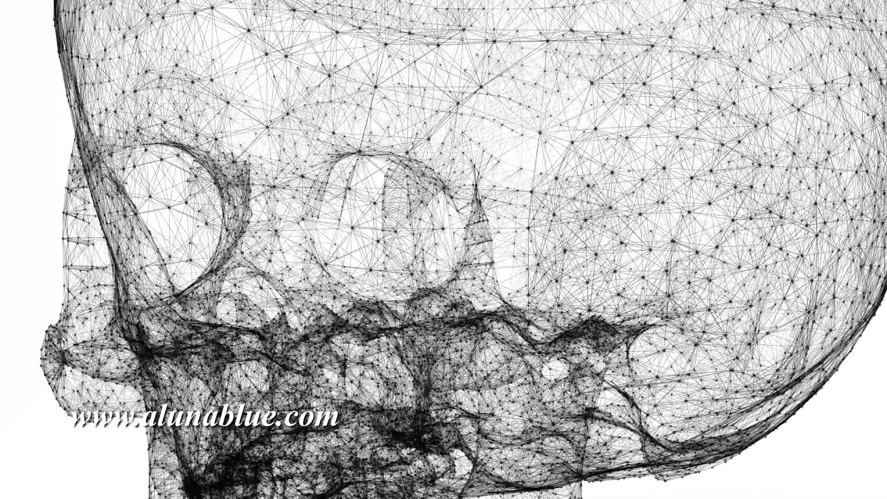 Wireframe Skull 005 HD, 4K Stock Video - YouTube