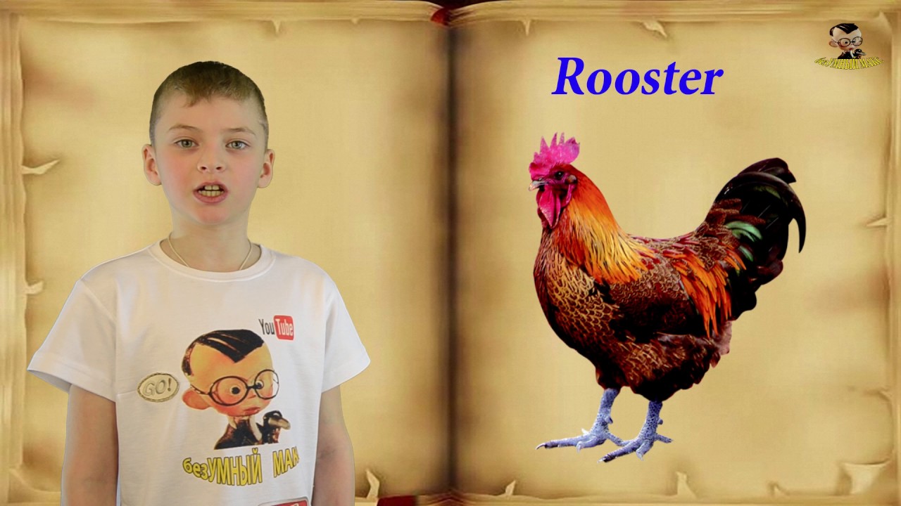 English lesson №16 Animals Урок английского языка. Животные. - YouTube