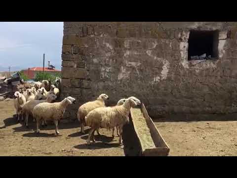 En güzel kavusma bu olsa gerek:)
