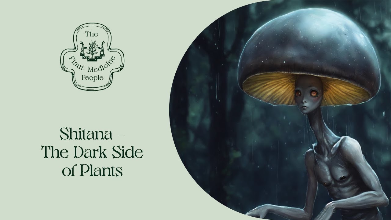 What is Shitana? | The Dark Side of Plants - YouTube