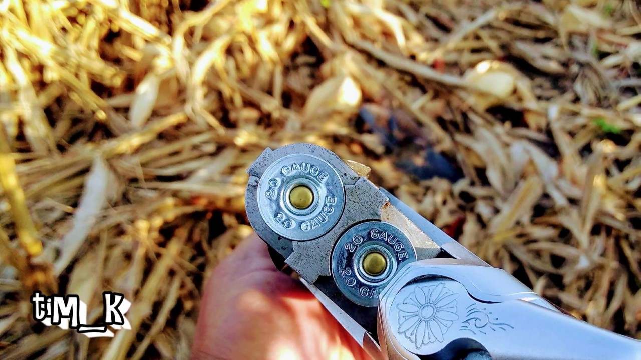 NC Dove Hunt 2017 - YouTube