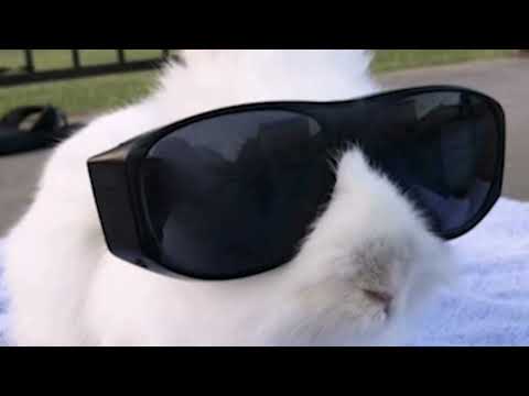 Joe Stone-The party (sped up)