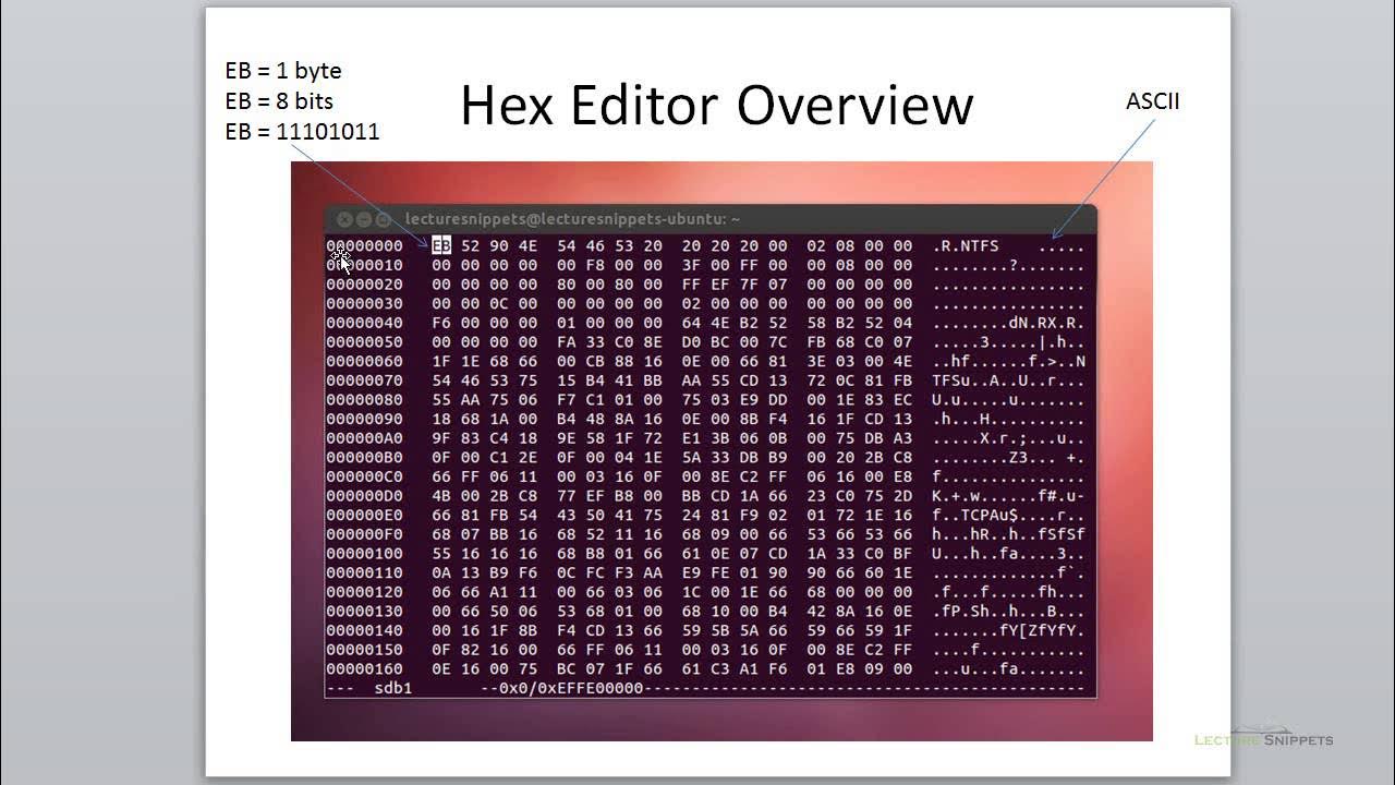 Ubuntu 12.04 Forensics - Hex Editor Overview - YouTube