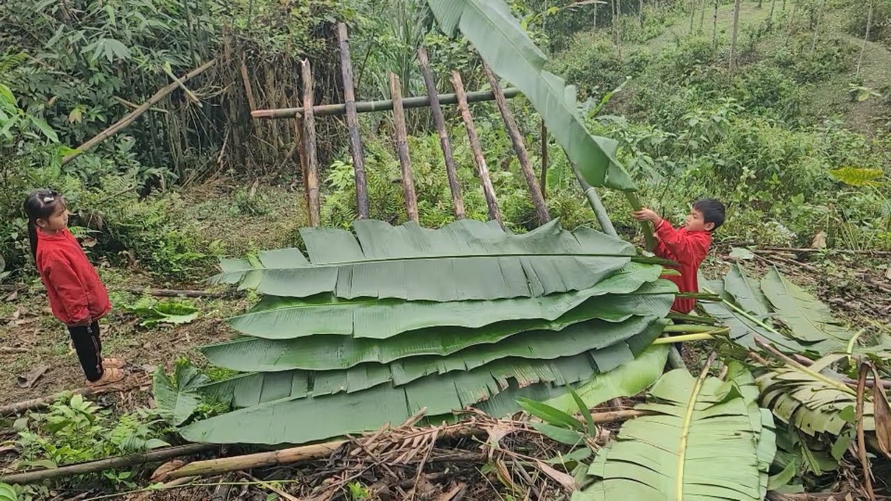 Two brothers, 6 years old and 7 years old, make a shack in the forest ...