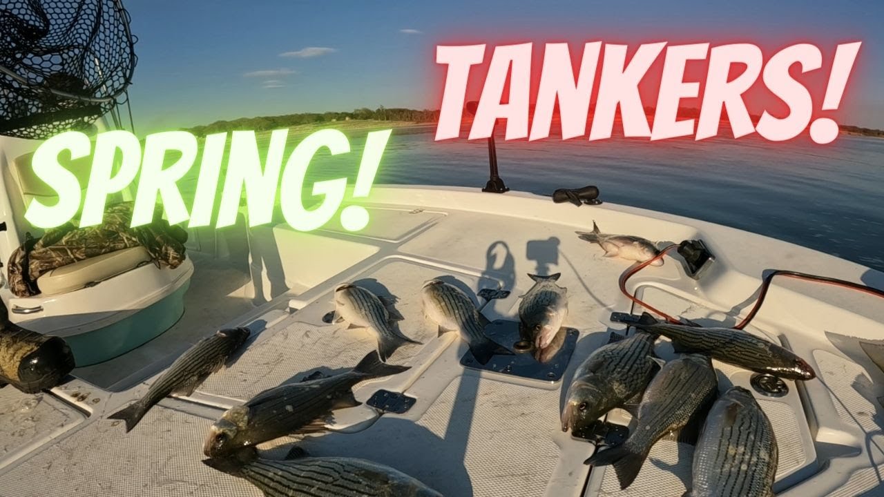 Find and Catch Fish Quick Fast and In A Hurry Using this Method Kansas ...