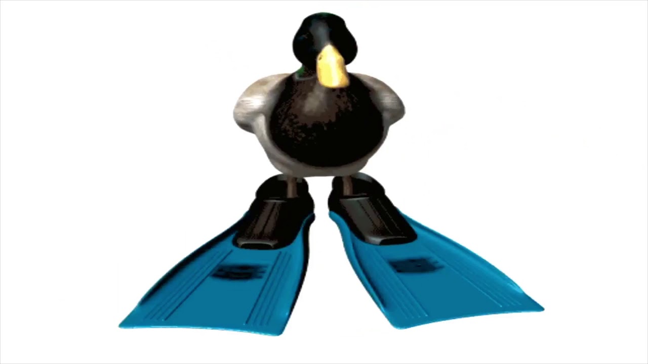 Duck spinning to Janos Legyen - YouTube