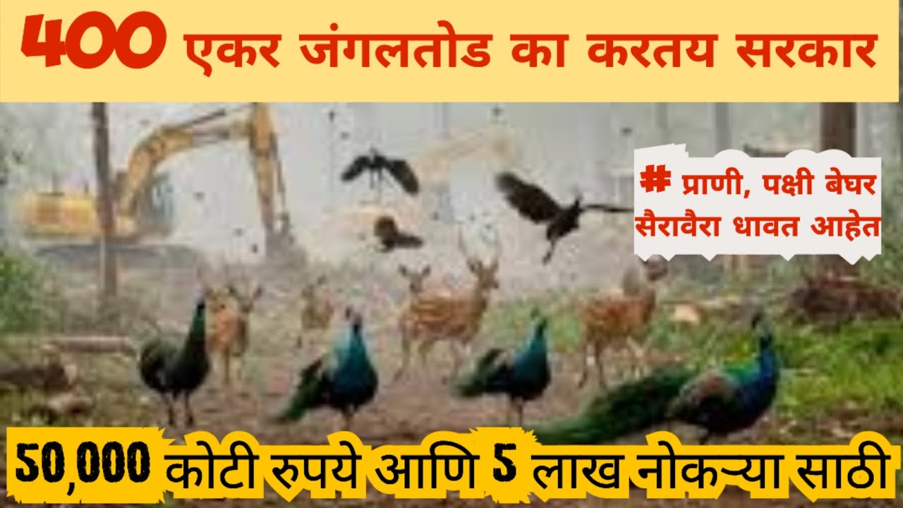 5 लाख नोकऱ्यांसाठी 400 एकर जंगल तोड सुरू #कांचा_गचीबोवली_जंगल तेलंगणा ...
