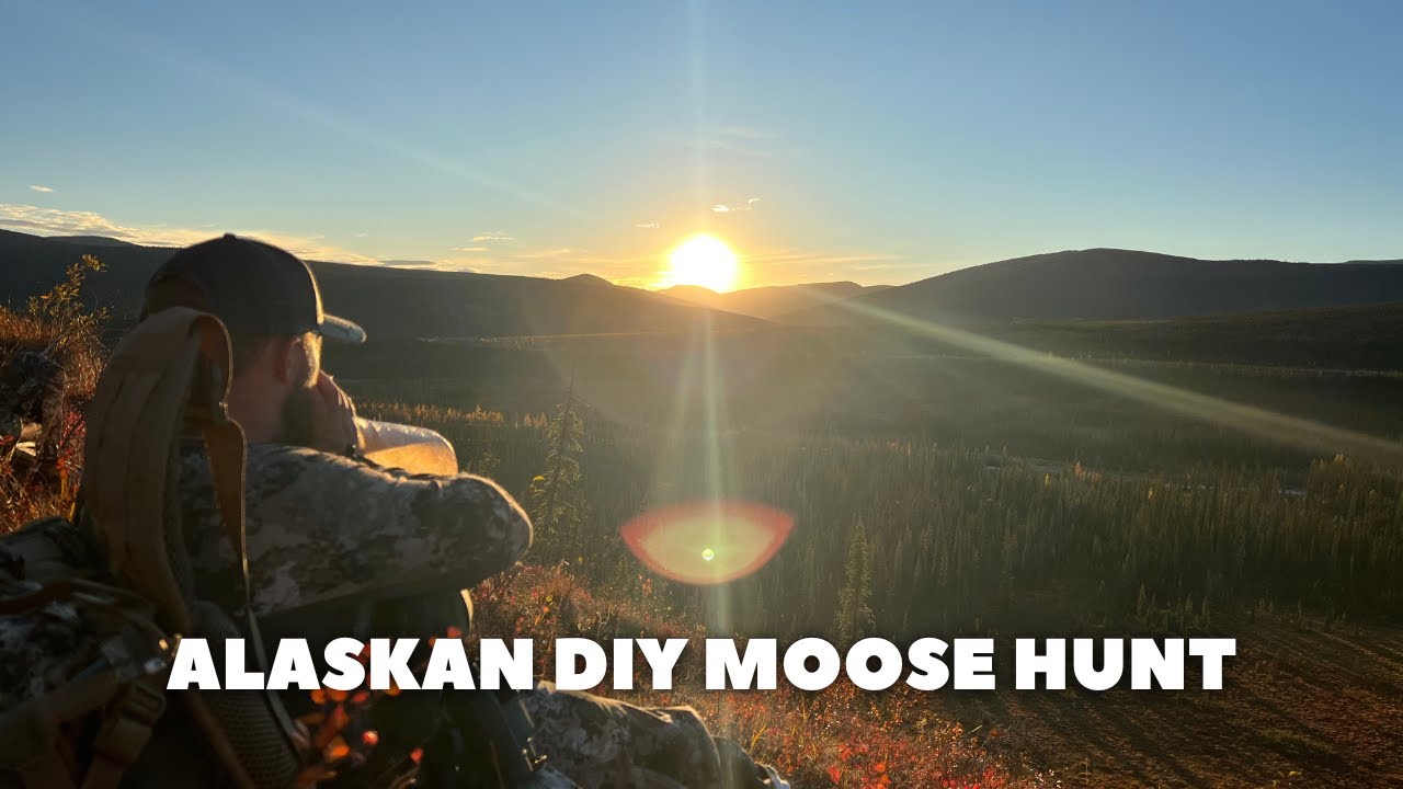Alaskan DIY Moose Hunt - YouTube