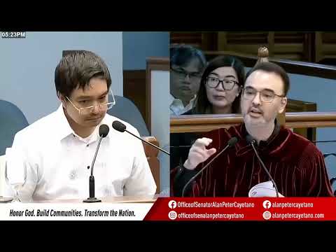 Senator Alan: NBI affidavit contained factual errors despite being certified as true