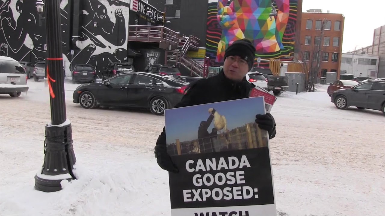 National Anti-Fur Day - Edmonton - YouTube