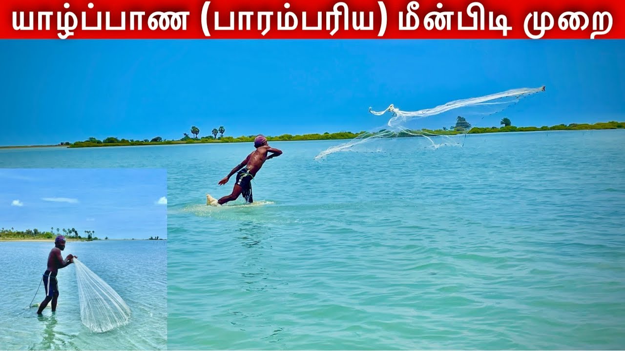 யாழ்ப்பாண பாரம்பரிய மீன்பிடி🎣 Jaffna Fishing Jaffna suthan - YouTube
