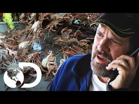 Monte pesca em área proibida | Pesca mortal | Discovery Brasil