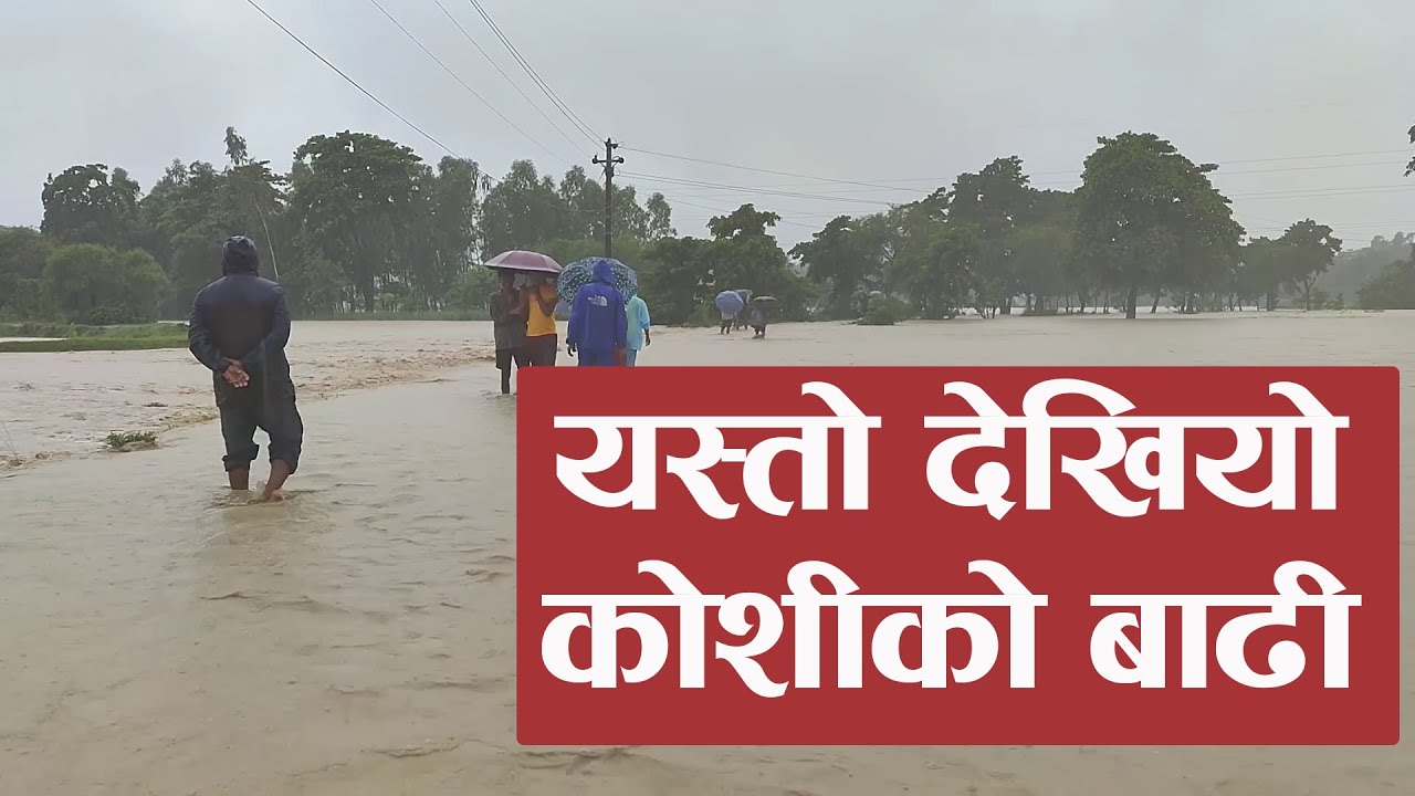यस्तो देखियो कोशीको बाढी || Koshi River Flood - YouTube