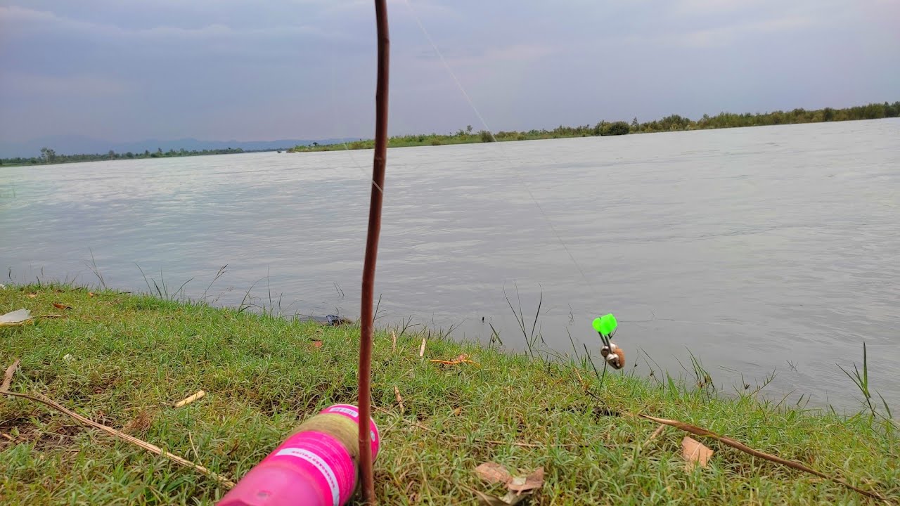 china carp fish Hunting saeed khan Hund point | Indus river Fishing |By ...