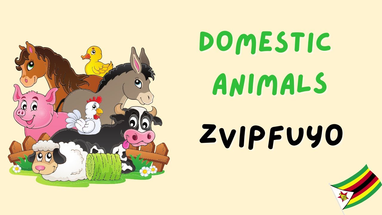Learn Domestic Animals in Shona! - YouTube
