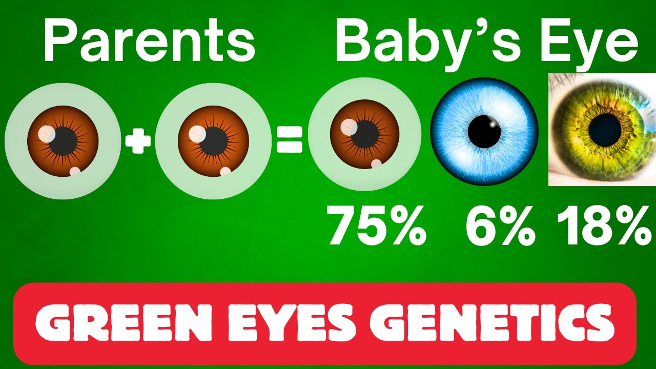 Scientists Reveal The Fascinating Genetic Origins of Green Eyes - YouTube