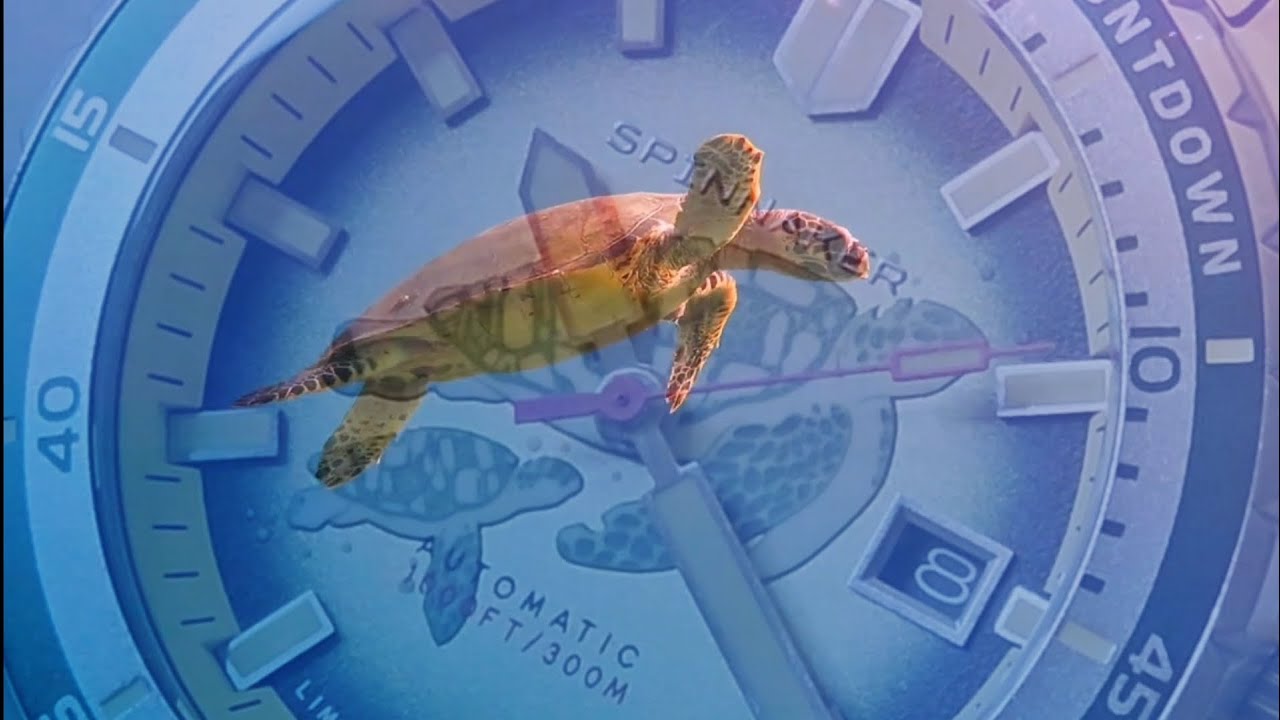Spinnaker Hass Automatic MCS Limited Edition Turtle Green Unboxing And ...