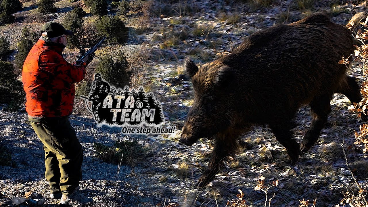 ATA TEAM Wildboar Hunting S09E07 Domuz Avı - YouTube