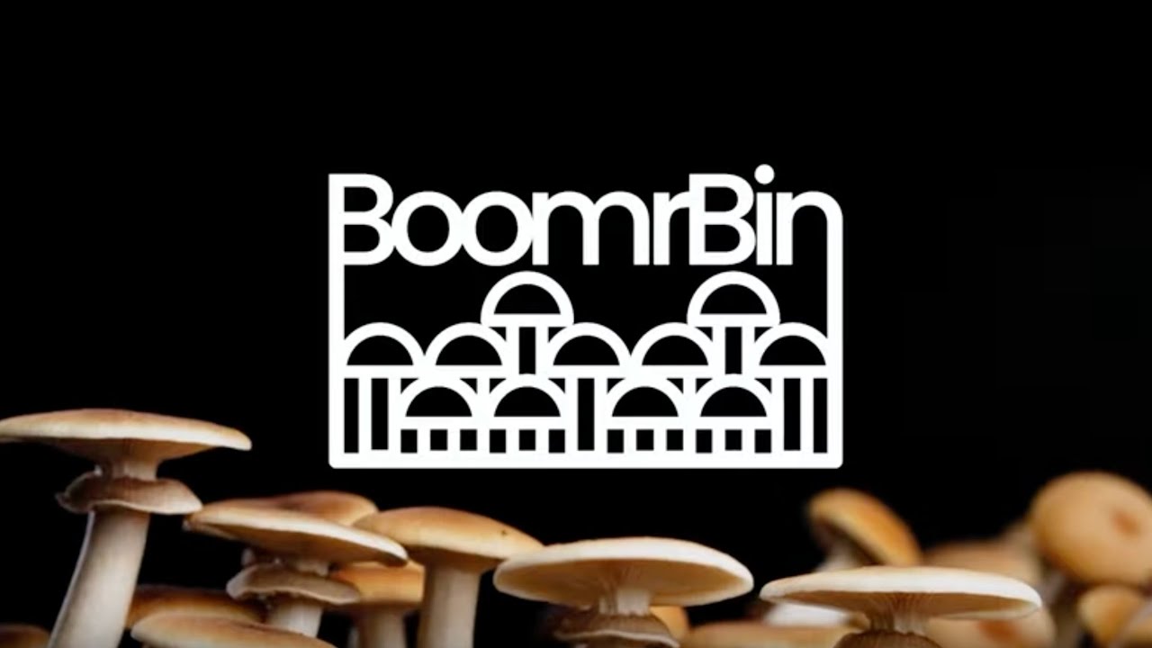 Meet the 'Boomr Bin' Monotub System | The Easiest Way to Grow Mushrooms ...