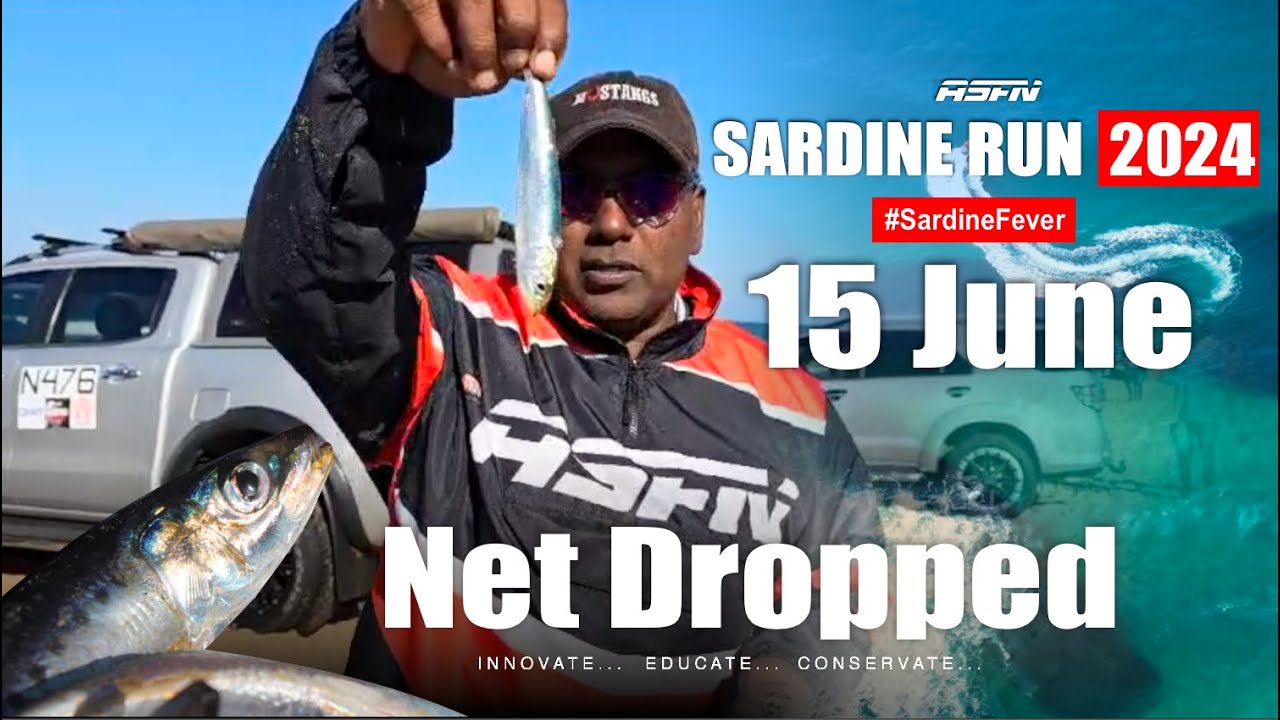 NET DROPPED SARDINES IN NET!!! | ASFN Sardine Run 2024 - YouTube